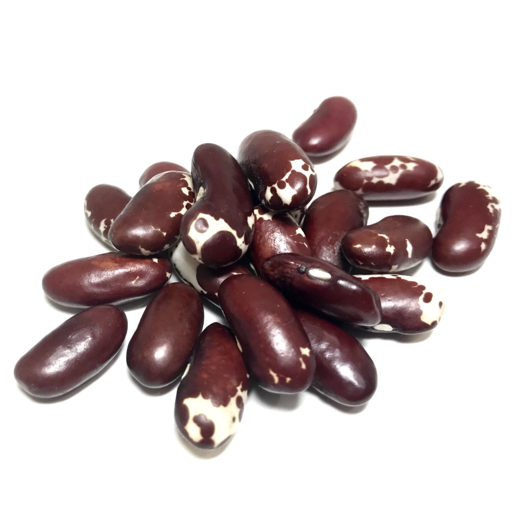 Jacob’s Cattle Certified Organic Heirloom Dry Beans – Shady Side Farm