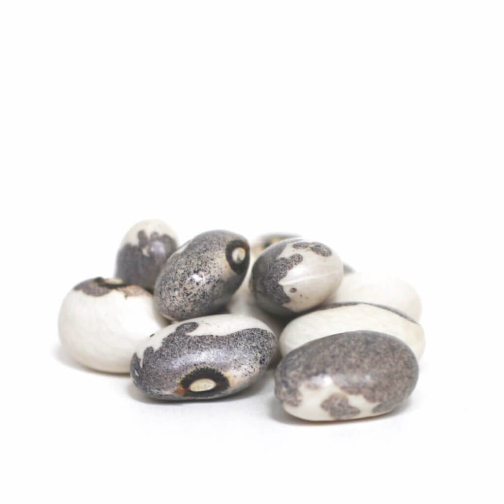 Dapple Gray Certified Organic Heirloom Dry Beans – Shady Side Farm