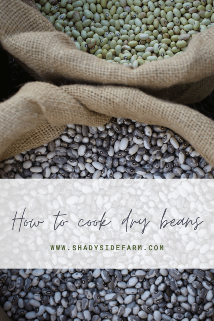 Jacob’s Cattle Bean Soup | Shady Side Farm